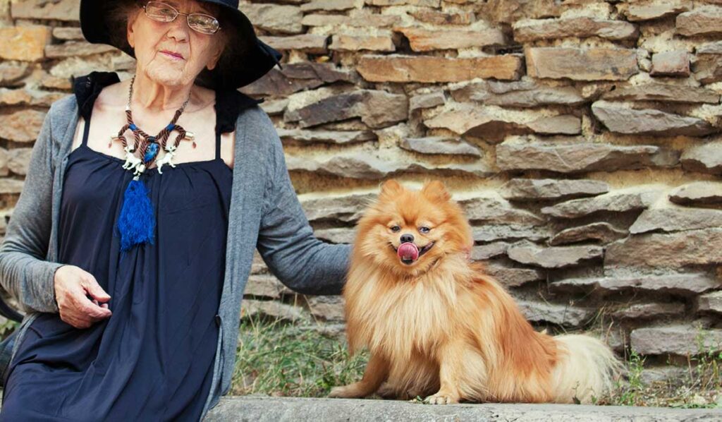 Best Small Dogs for Seniors - Senior Tail Waggers
